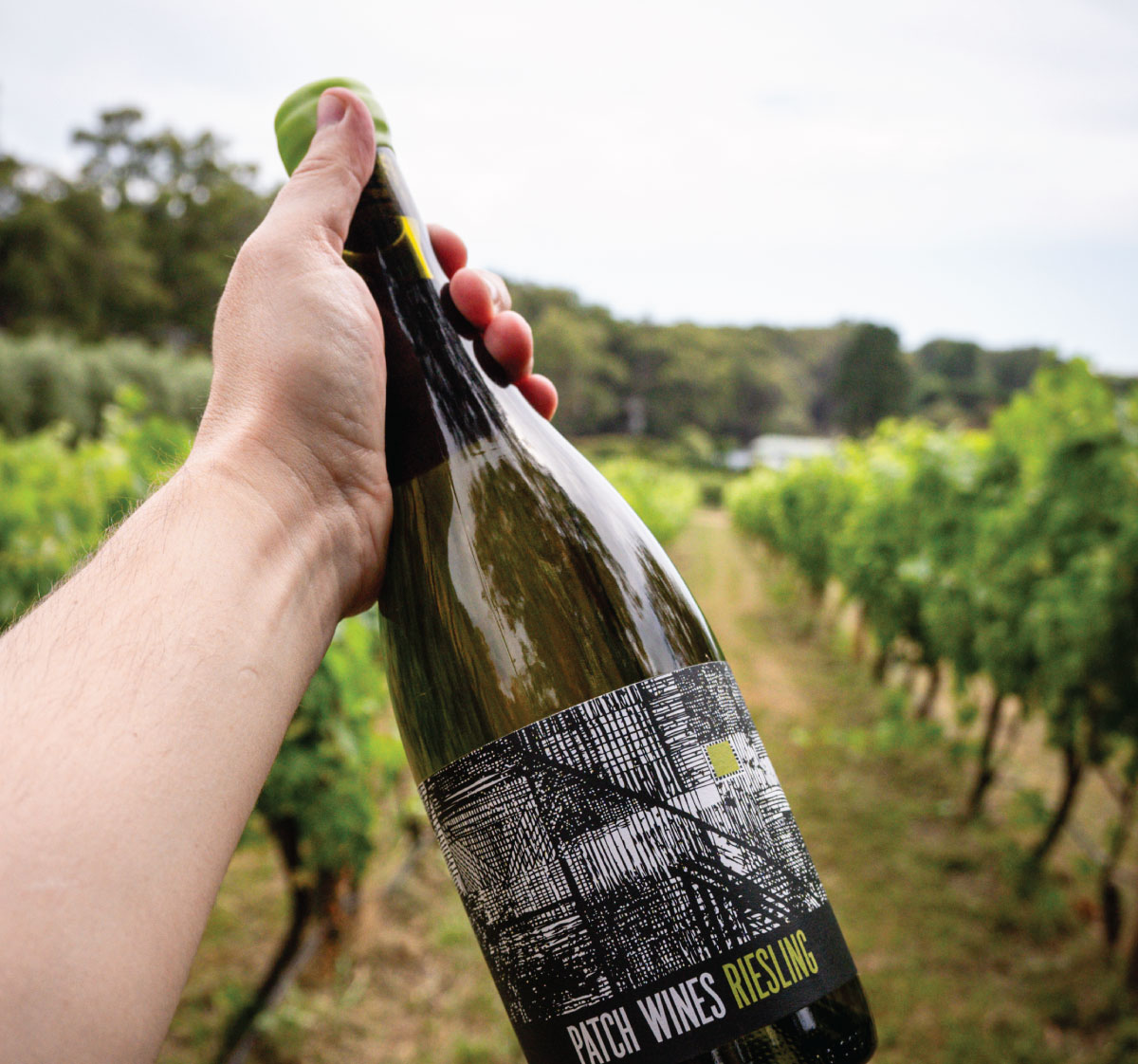 Marquee | Patch Wines