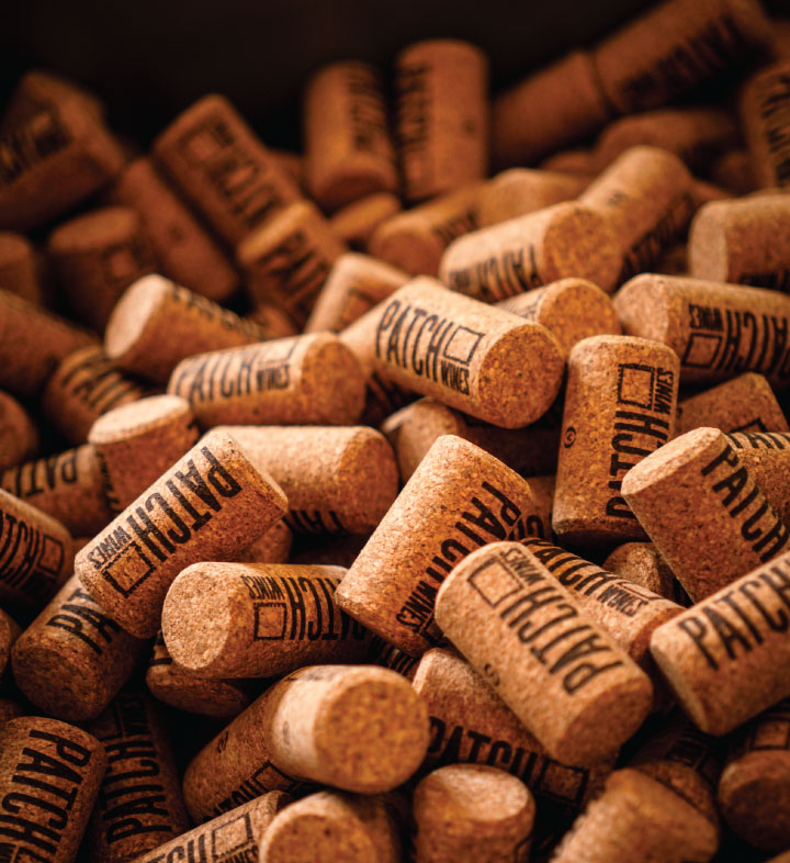 Marquee | Patch Wines